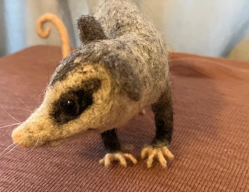 Petal the Baby Opossum - Etsy