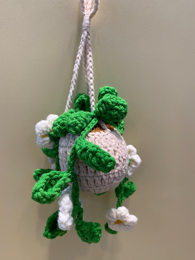 Crochet String of Pearls Hanging Plant, Car Diffuser Decor, Car ...