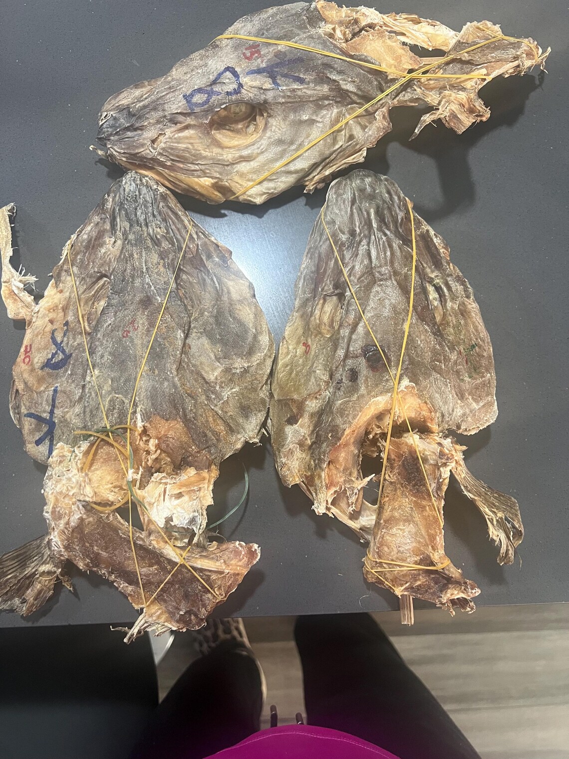 Stockfish Head apama - Etsy