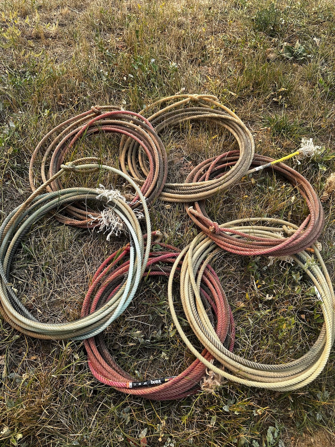 Authentic Cowboy Lasso (ropes) - Etsy