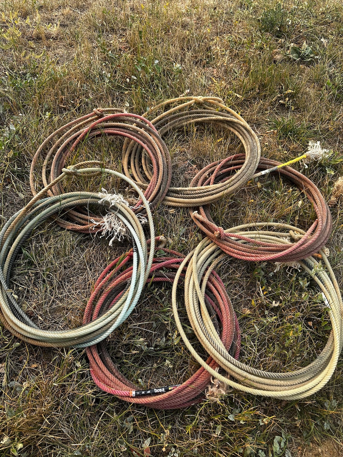 Authentic Cowboy Lasso (ropes) - Etsy