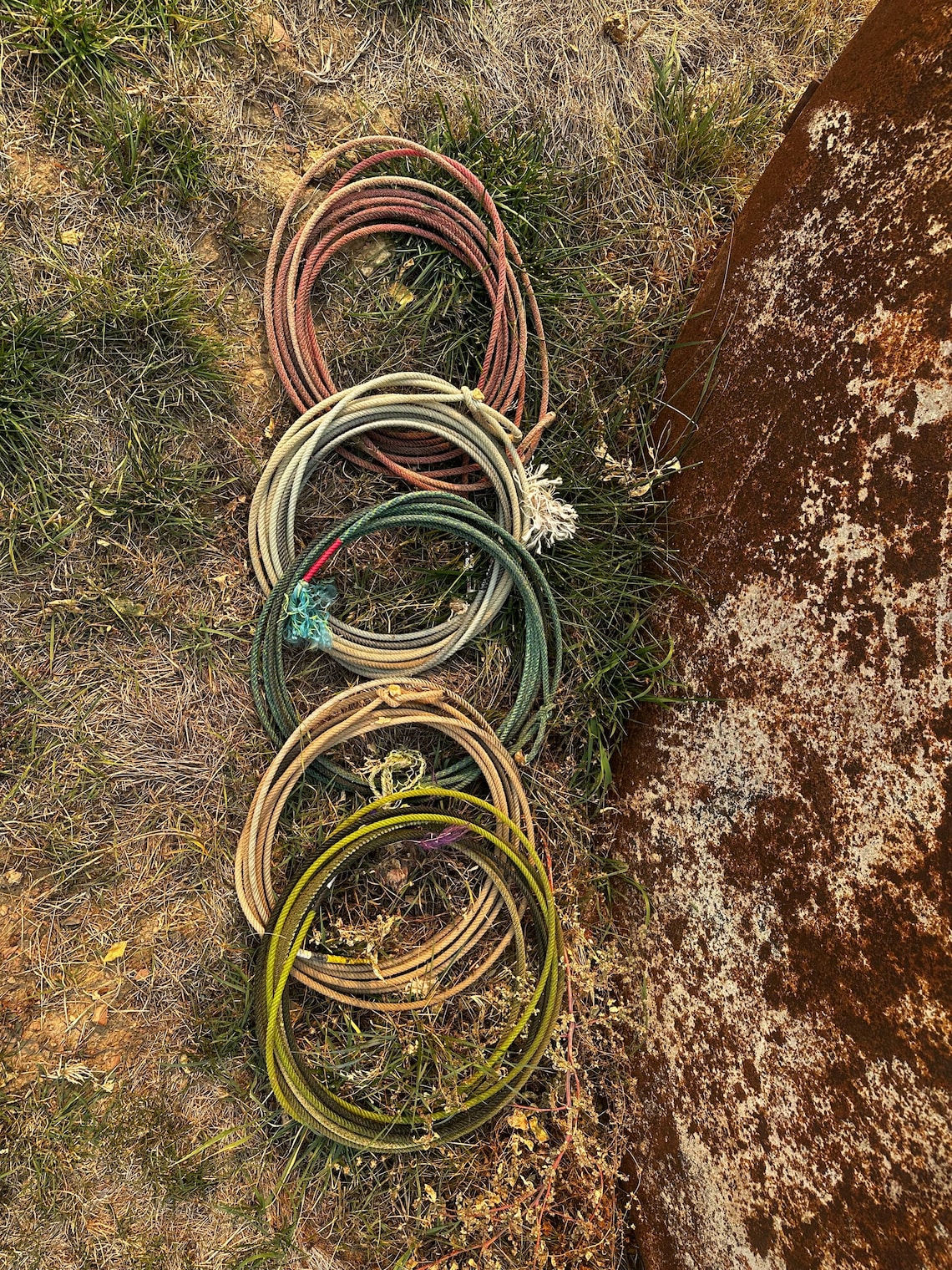 Authentic Cowboy Lasso (ropes) - Etsy