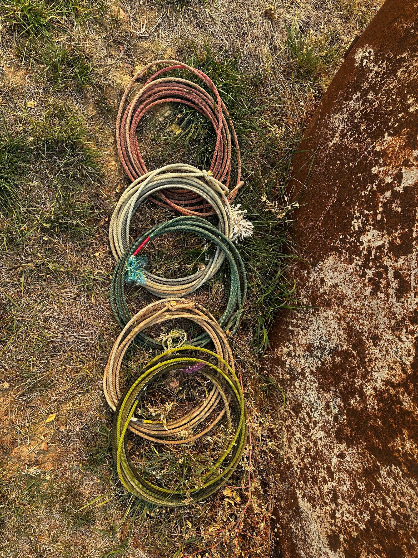 Authentic Cowboy Lasso (ropes) - Etsy