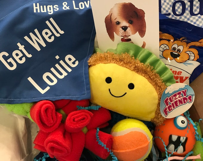 Personalized Dog Get Well Box Sick Dog Dog Get Well Basket Dog Care ...