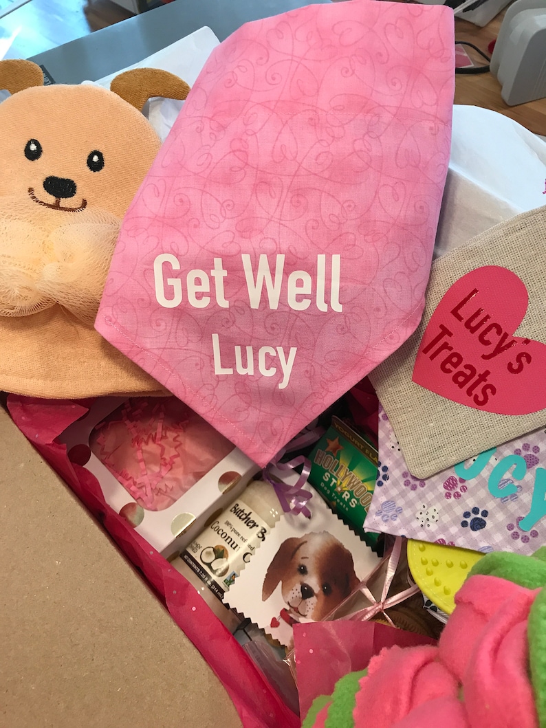 Personalized Sick Dog Gift Box Dog Get Well Basket Dog Care Package Dog ...