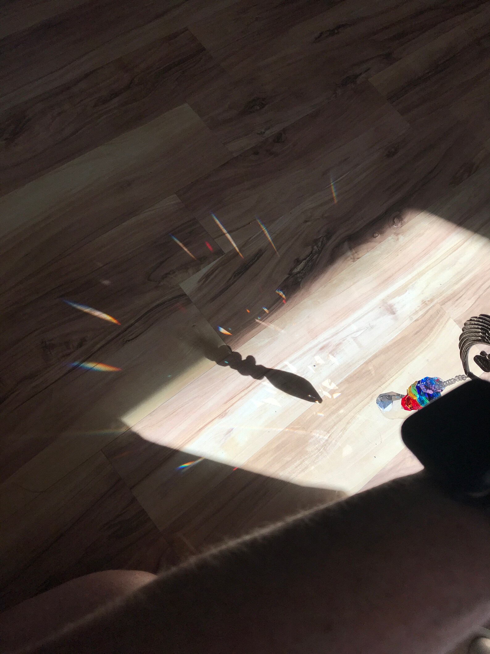 Dog or Cat Loss Gift Pet Loss Gift Mourning Pet Loss Dog Remembrance ...