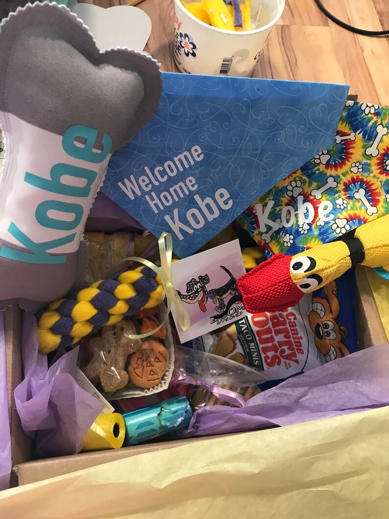 Personalized New Puppy Gift Box New Dog Gift Basket Gift - Etsy