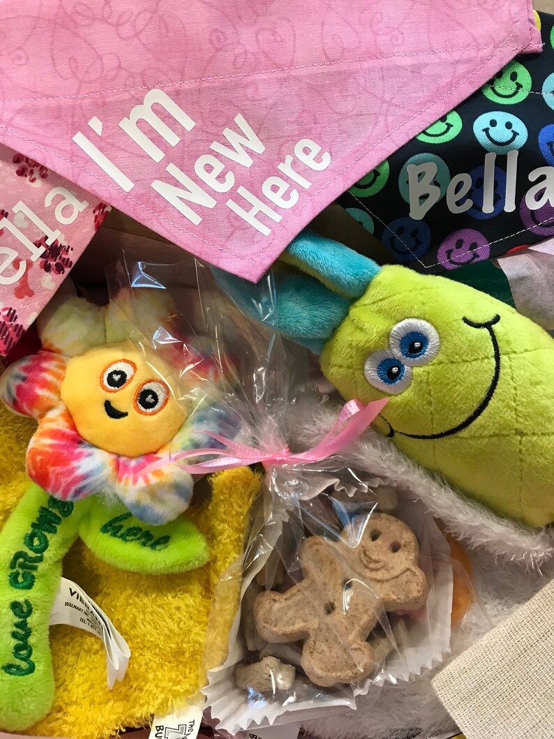 Personalized New Puppy Gift Box New Dog Gift Basket Gift - Etsy