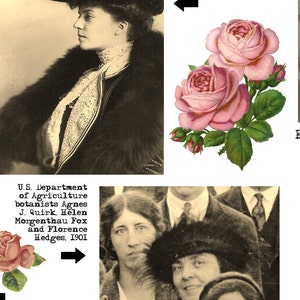 Wild, Worldly, Wonderful Women in History Ephemera 4 Pages for Journals ...