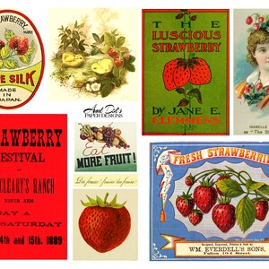 Strawberry Ephemera 7 Pages of Vintage Images for Junk Journals and ...