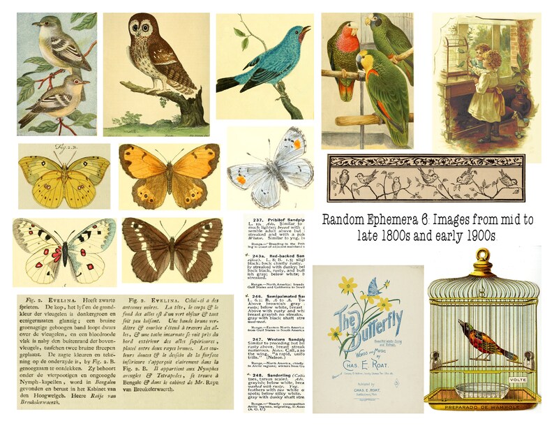 Victorian Advertising, Illustrations: Vintage Ephemera Images (digital ...