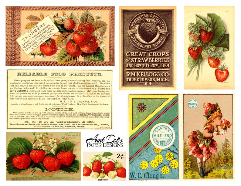 Strawberry Ephemera 7 Pages of Vintage Images for Junk Journals and ...