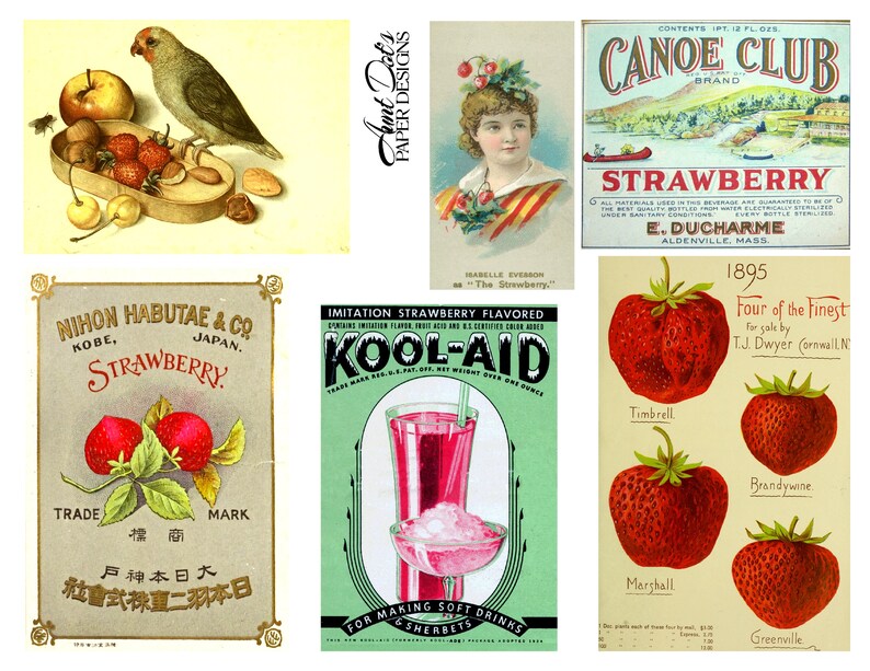 Strawberry Ephemera 7 Pages of Vintage Images for Junk Journals and ...