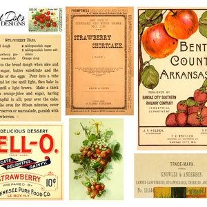 Strawberry Ephemera 7 Pages of Vintage Images for Junk Journals and ...