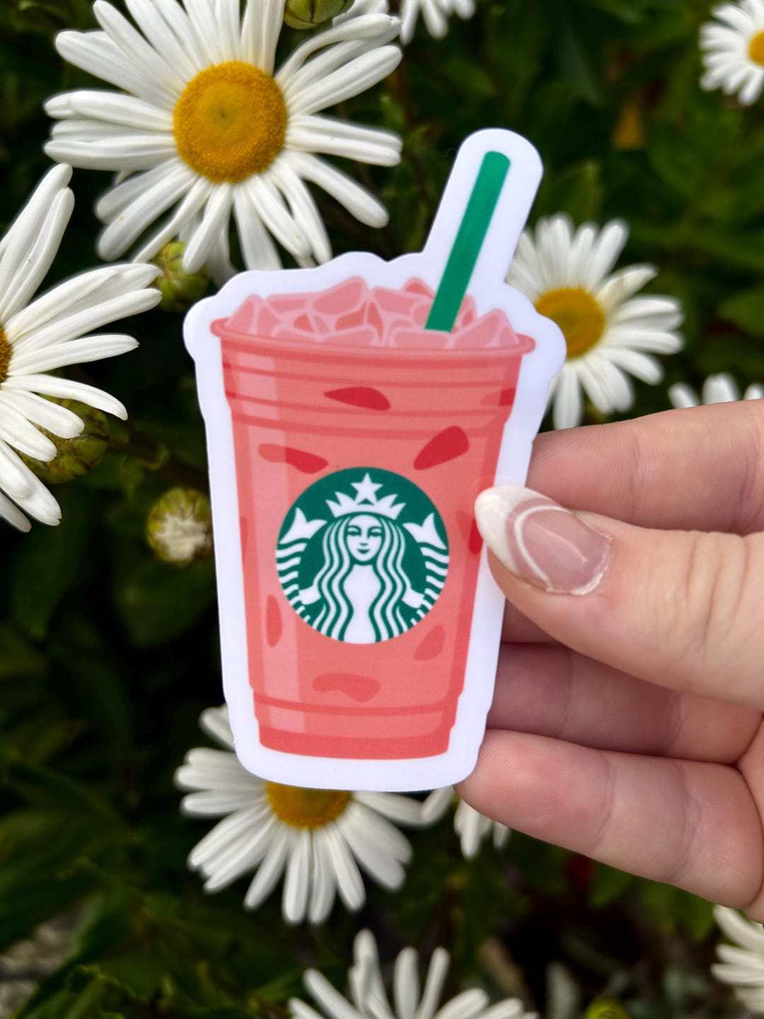 Starbucks Refresher Strawberry Acai Sticker - Etsy