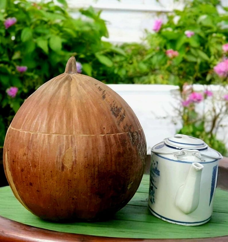 Traditional Oriental Teapot With Natural Coconut Husk Insulation | All ...