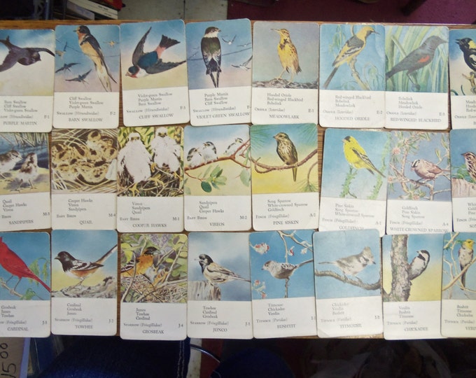 Vintage Goldfinch Bird Card Game From Rustysecrets - Etsy