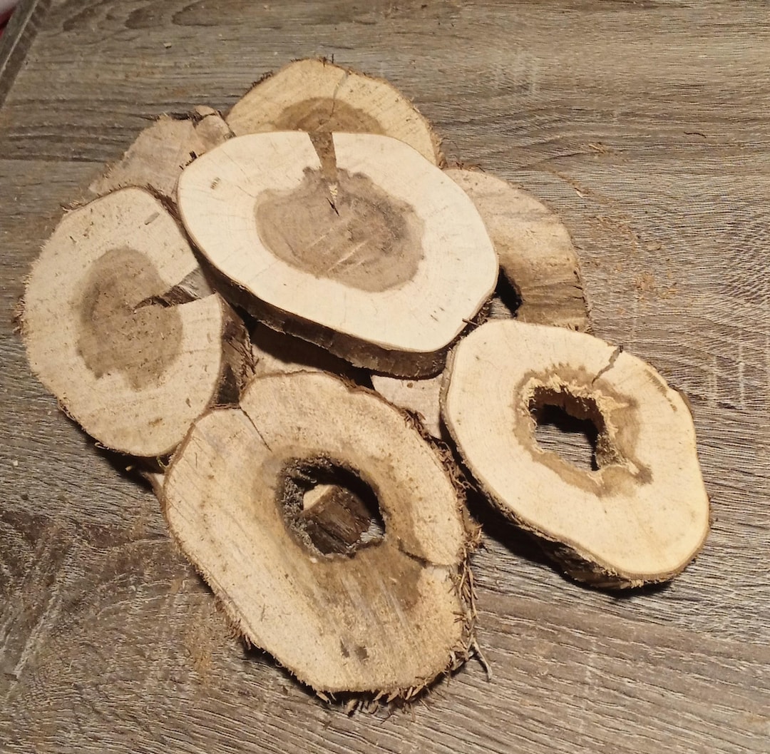 25 Grapevine Wood Slices, 3-4