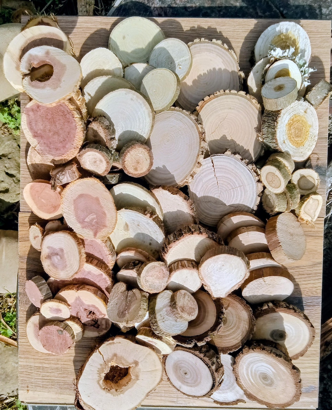 Amazing Wood Slices For Crafting Gallery