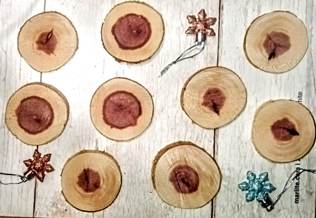 Epoxied Cedar Wood Slices: Rustic DIY Craft Supplies, 2-4 Inch - Etsy