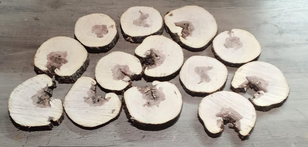 25 Locust Wood Slices, Rustic Farmhouse DIY Decor (3.5-4.5" Wide) - Etsy