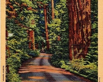 Oregon Vintage Postcard - Etsy