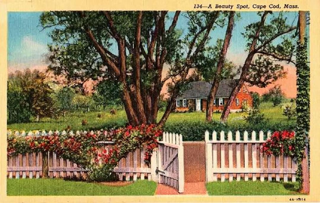 Vintage Cape Cod Postcard - an Old Cape Cottage in Dennis (unused) - Etsy