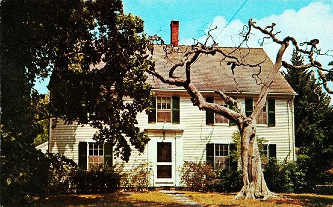 Vintage Cape Cod Postcard Sturgis Library, Barnstable unused - Etsy