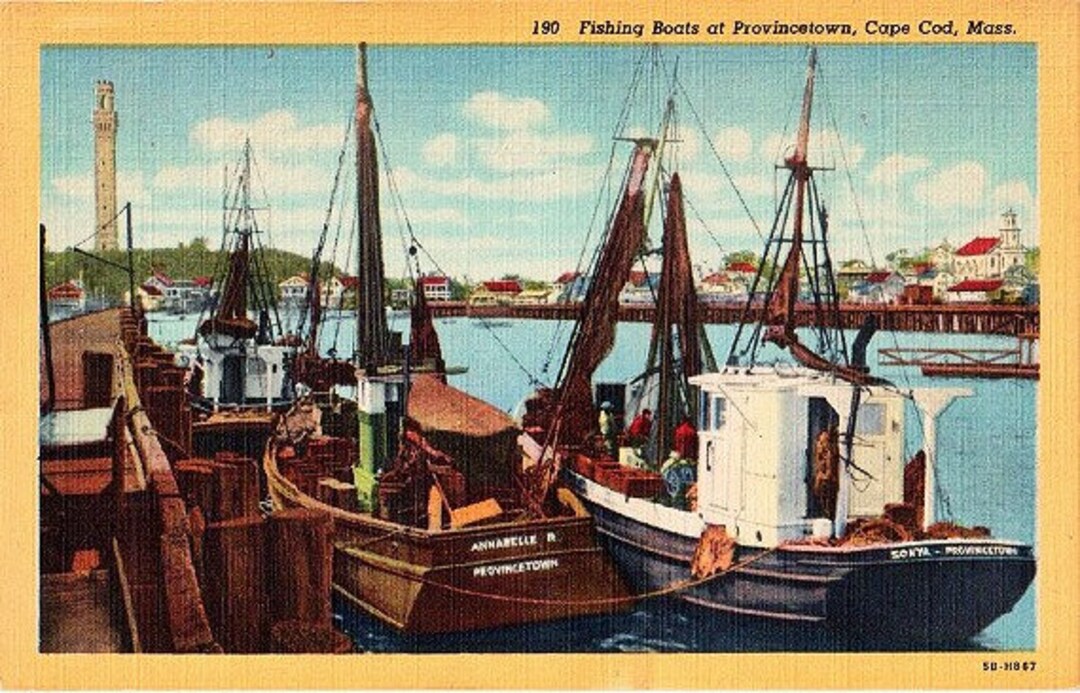 Vintage Cape Cod Postcard Fishing Boats at Provincetown Harbor unused ...