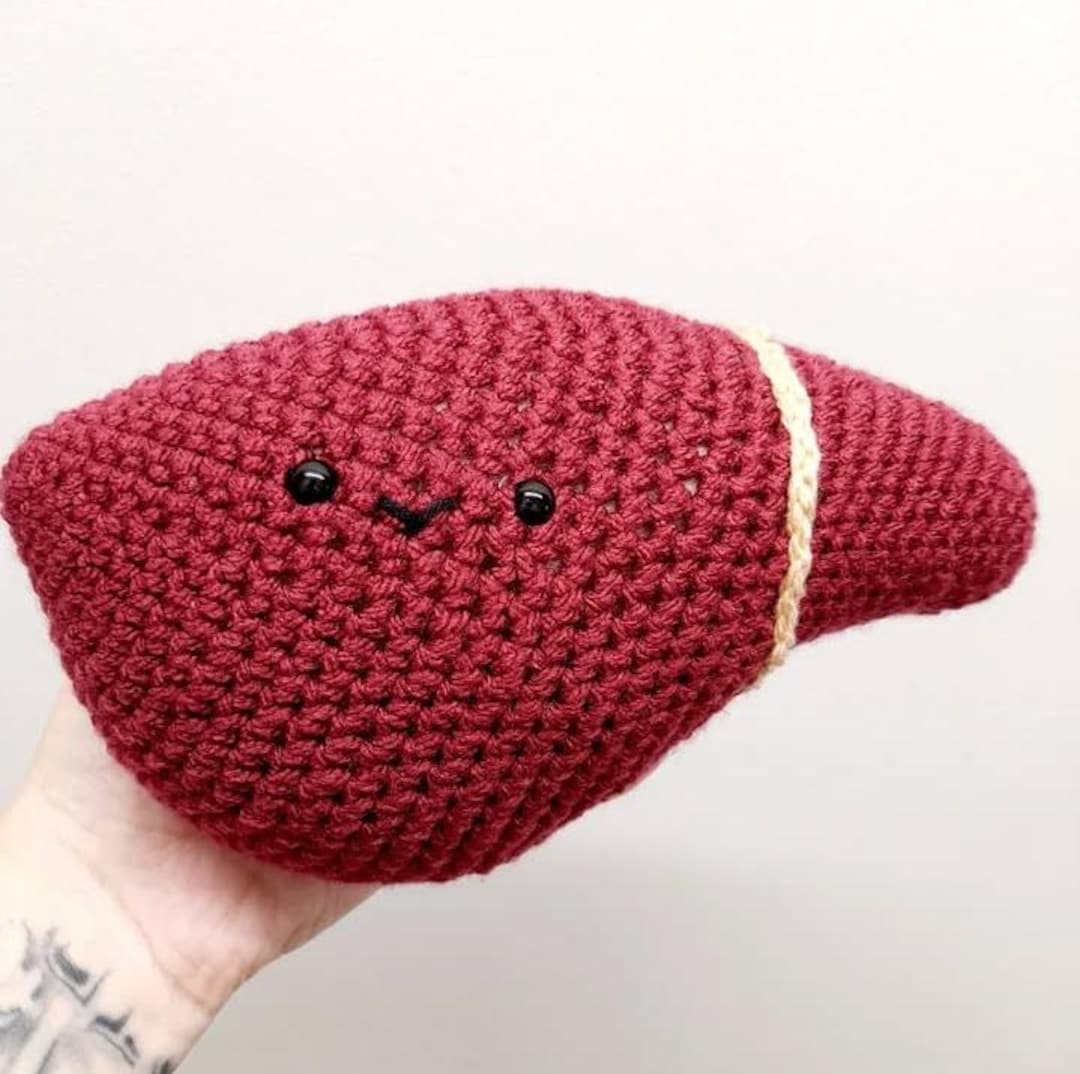 Crochet Liver Plush | Stuffed Liver | Crochet Anatomical Liver | Organ ...
