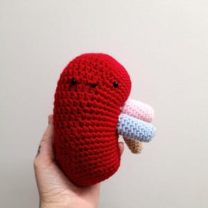 Crochet Kidney Plush | Stuffed Kidney | Crochet Anatomical Kidney ...
