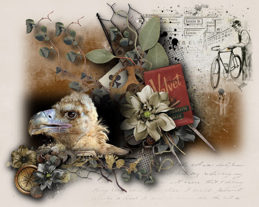 Master Bird Digital Art for Download, 8x10 Framable - Etsy