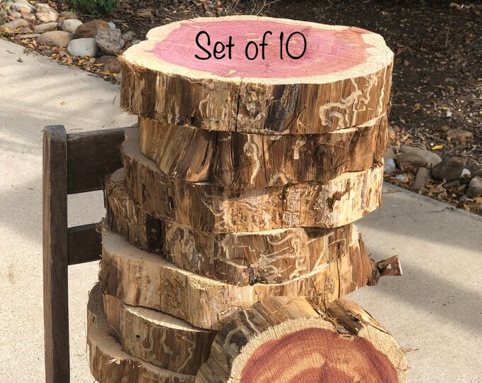 Rustic Cedar Wood Slices, SET of 10, 10 11 X 2 Thick, Rustic Wedding ...