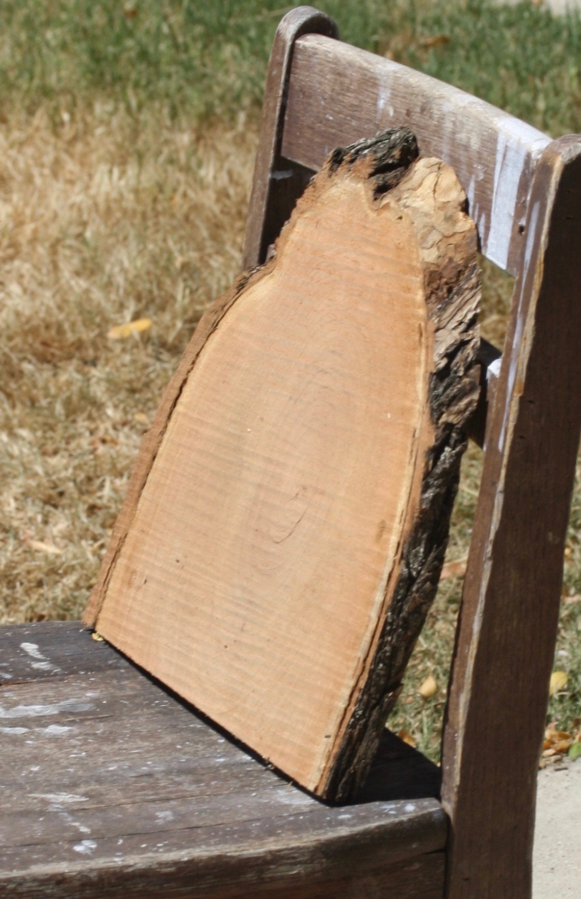 Reclaimed Wood Slab live edge with bark 12 long x | Etsy