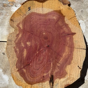 Red Cedar Wood Slices, Cedar Wood Round, You Pick Slice, 1.5 Thick ...