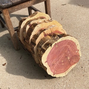 Rustic Cedar Wood Slices, SET of 10, 10 11 X 2 Thick, Rustic Wedding ...