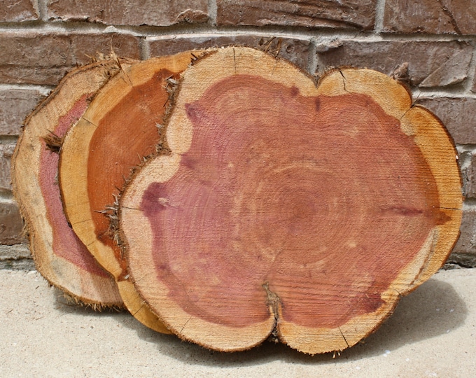 Red Cedar Wood Slices, Cedar Wood Round, You Pick Slice, 1.5 Thick ...