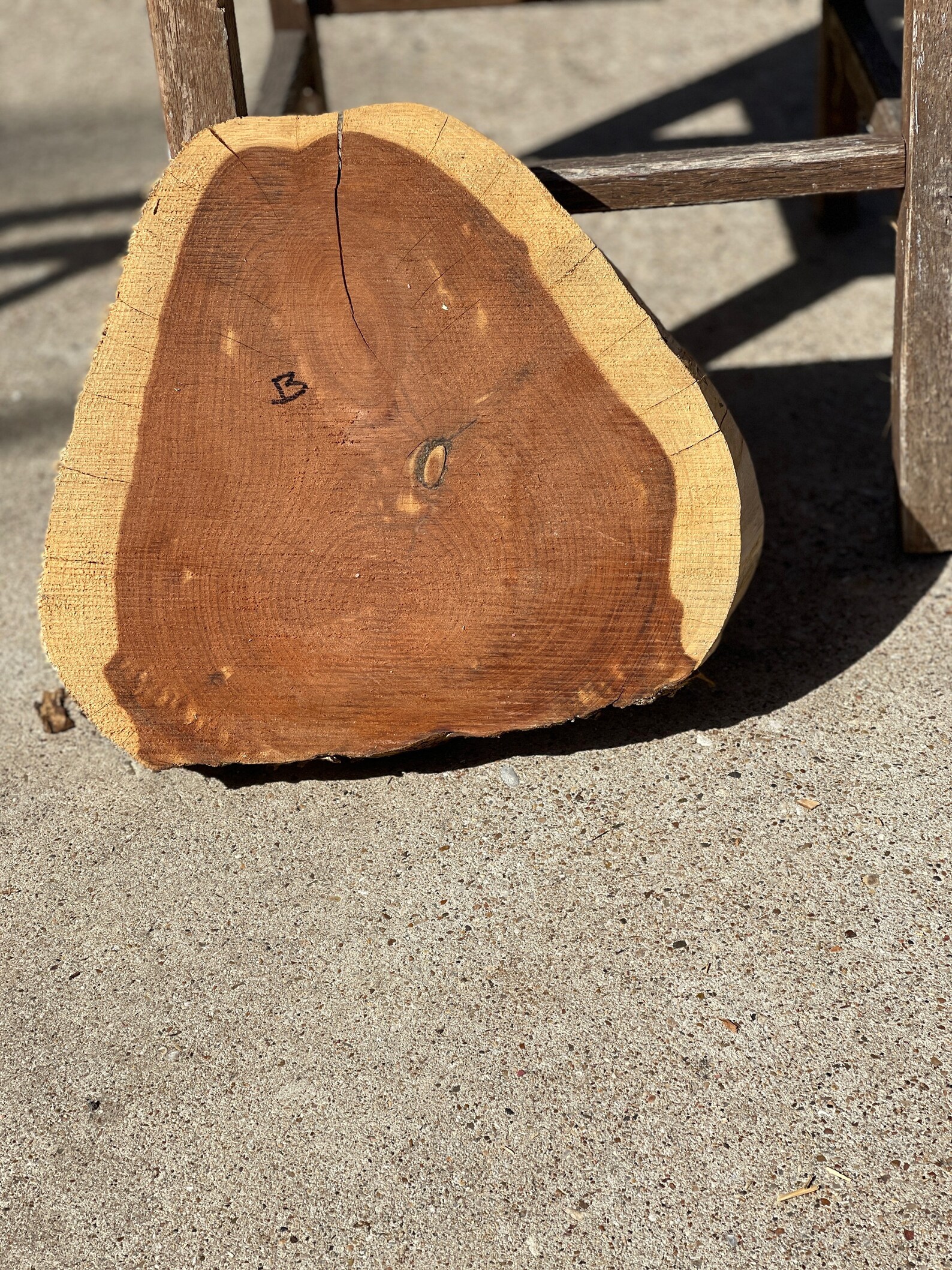 Rustic Wood Slice Cedar Piece for stag horn fern mount odd | Etsy