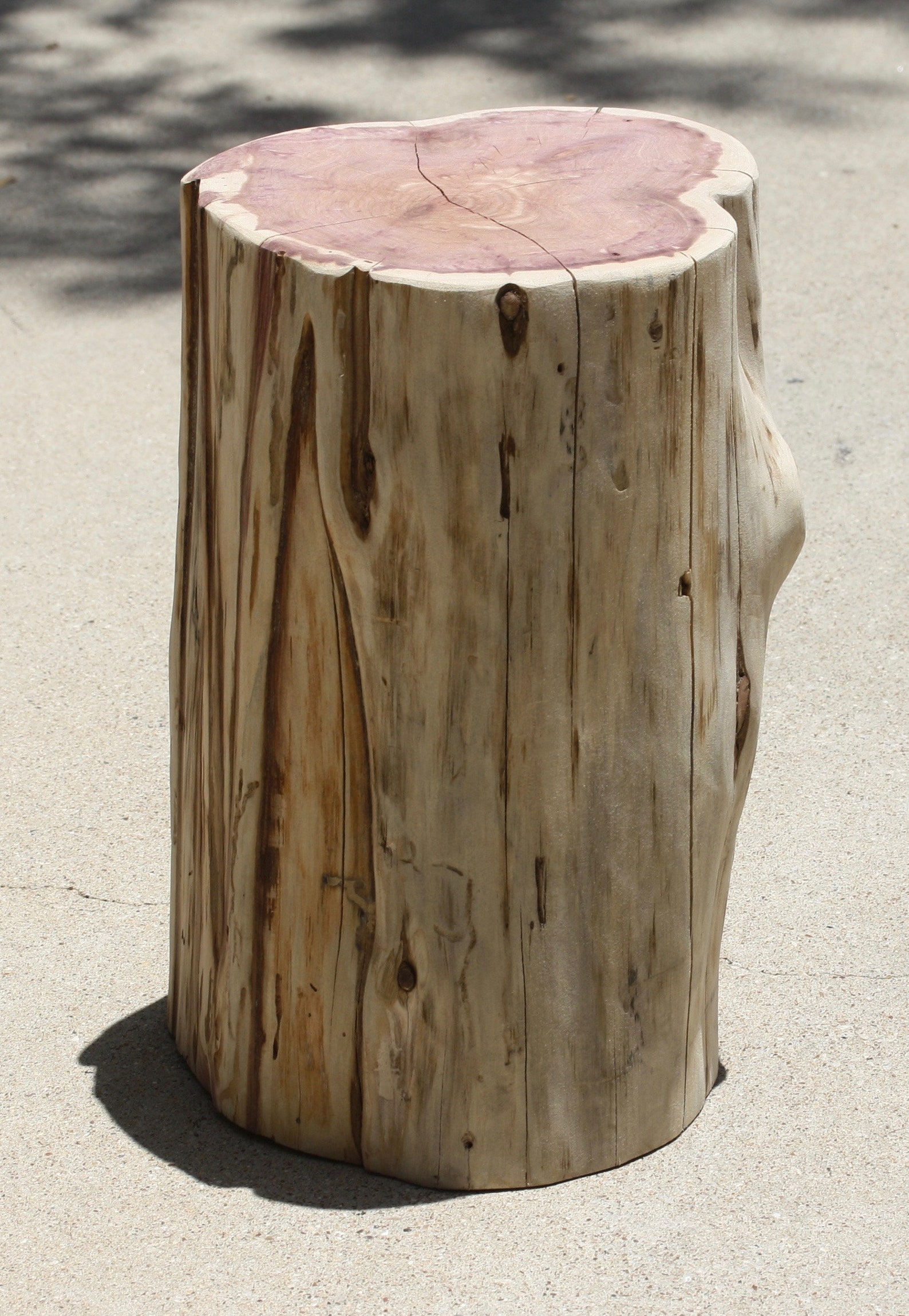 Tree Stump Side Table timber end table tree log table base | Etsy