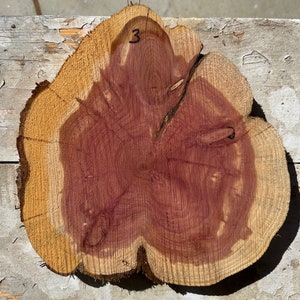 Red Cedar Wood Slices, Cedar Wood Round, You Pick Slice, 1.5 Thick ...