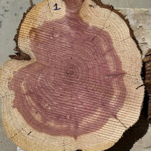Red Cedar Wood Slices, Cedar Wood Round, You Pick Slice, 1.5 Thick ...