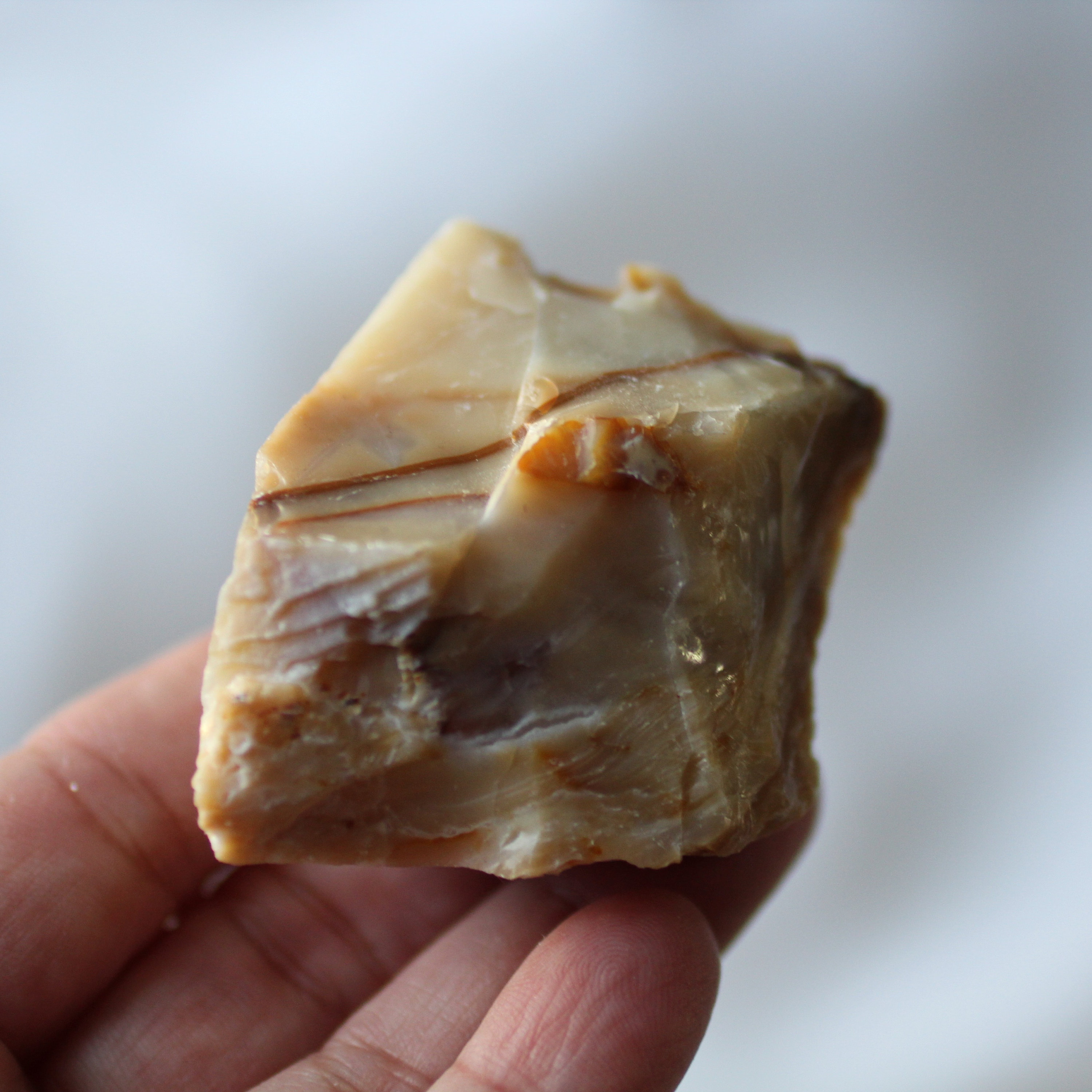 Golden Opal Lion Heart Aka Chrysopal and Brecciated Opal - Etsy