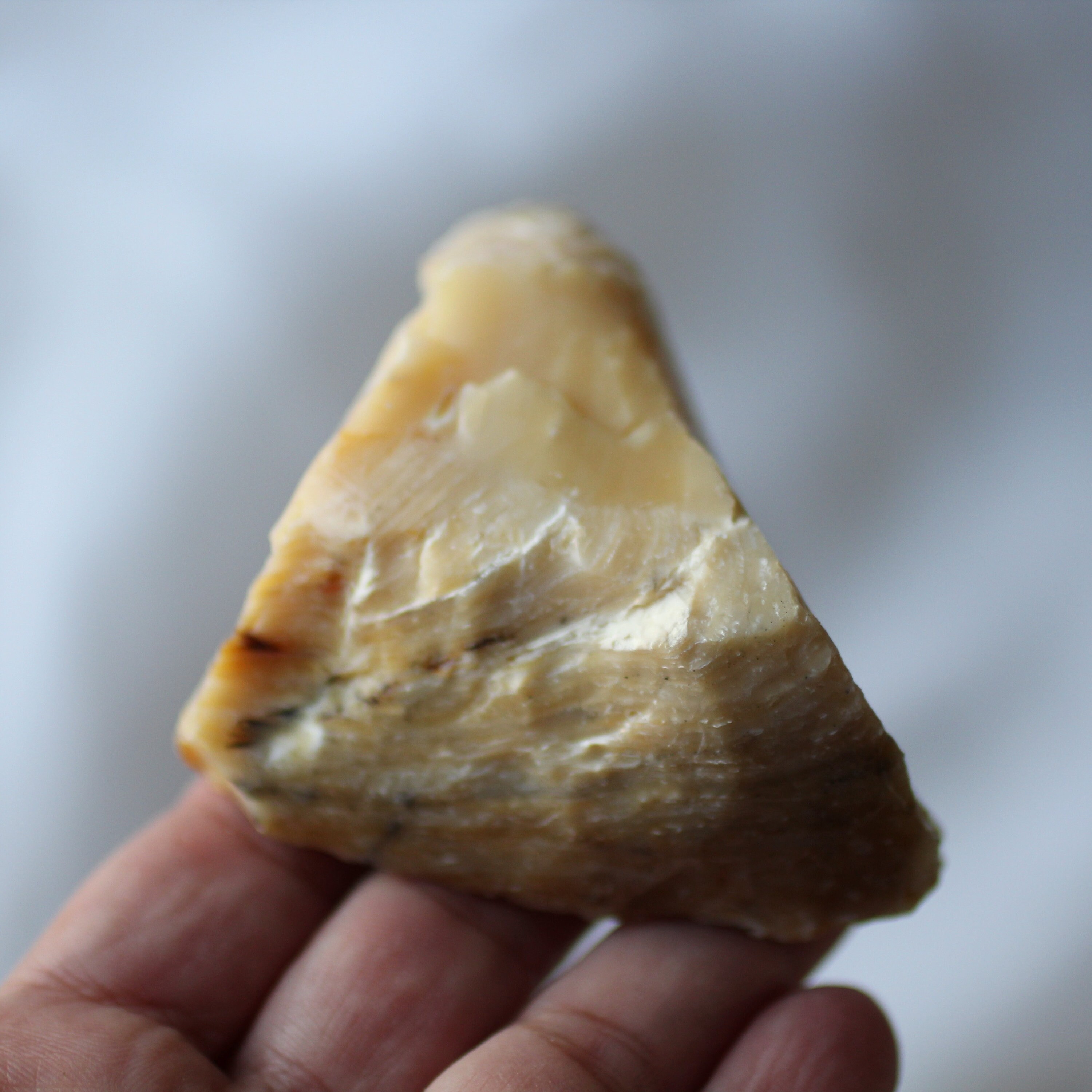 Golden Opal Lion Heart Aka Chrysopal and Brecciated Opal - Etsy