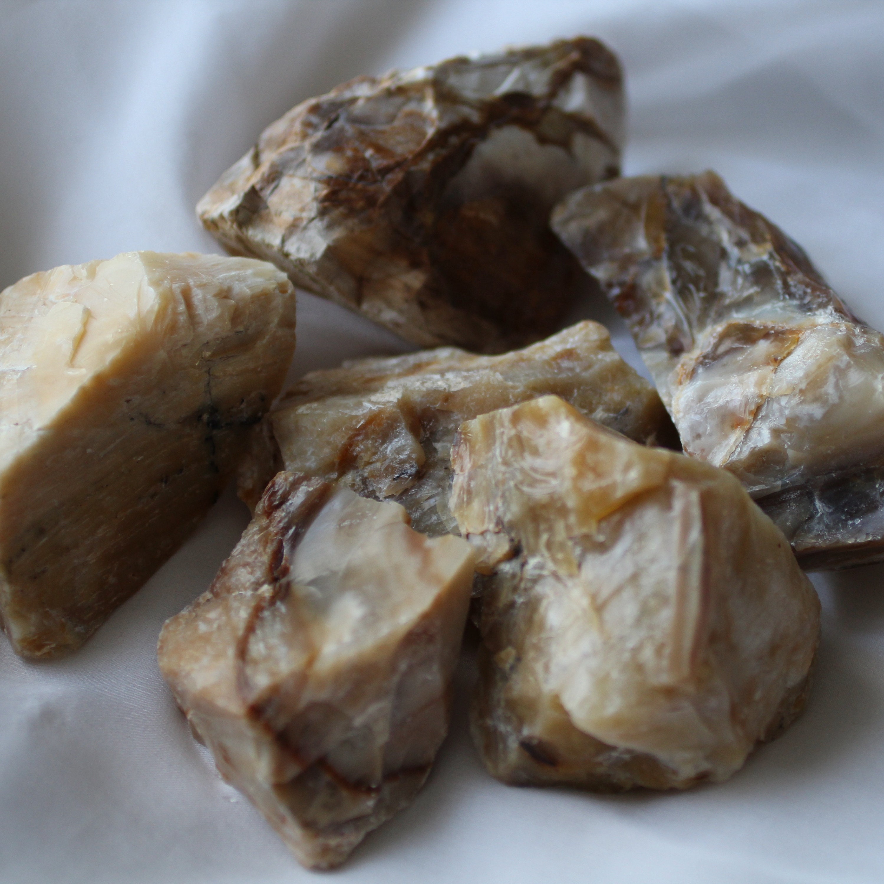 Golden Opal Lion Heart Aka Chrysopal and Brecciated Opal - Etsy