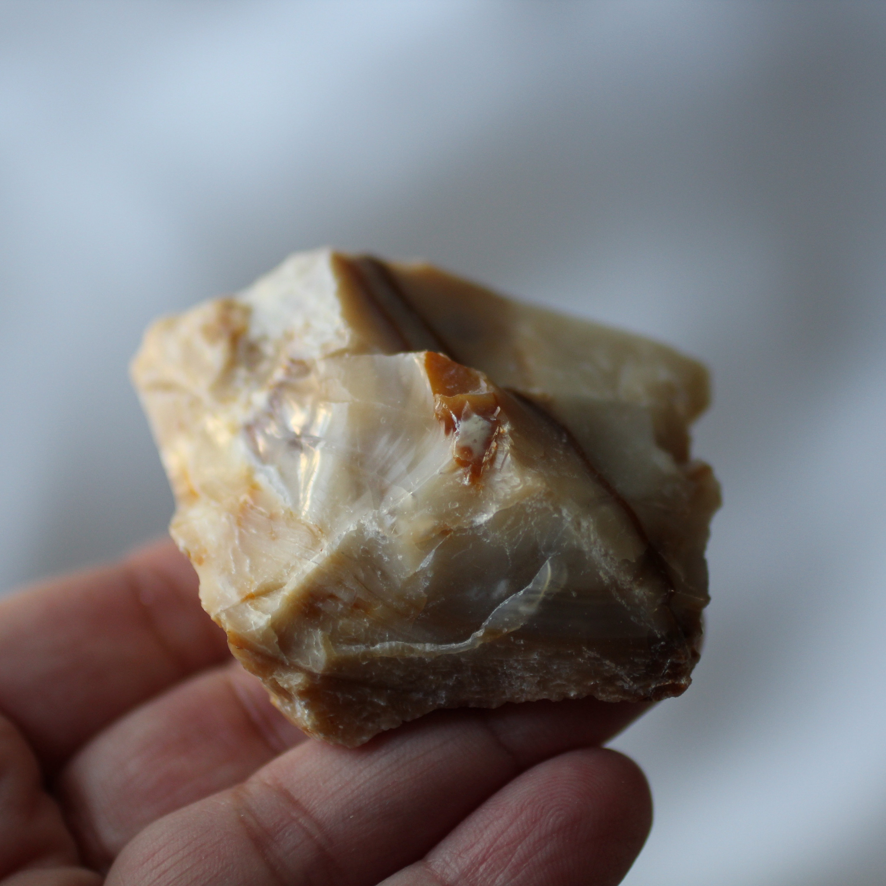 Golden Opal Lion Heart Aka Chrysopal and Brecciated Opal - Etsy