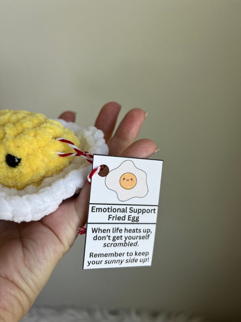 Emotional Support Egg, Crochet Egg, Positive Gift, Gift for Adults ...