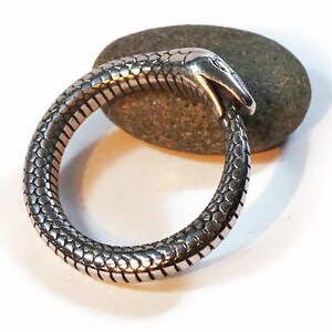 Ouroboros - Necklace or Ring - Stainless Steel - Leather - Celtic ...