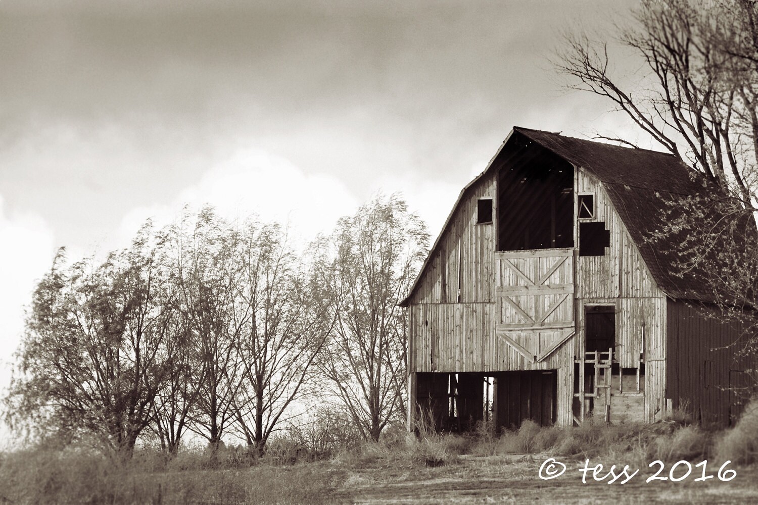 Photography - Barn Photo - Barn Photography - Black and White Barn ...