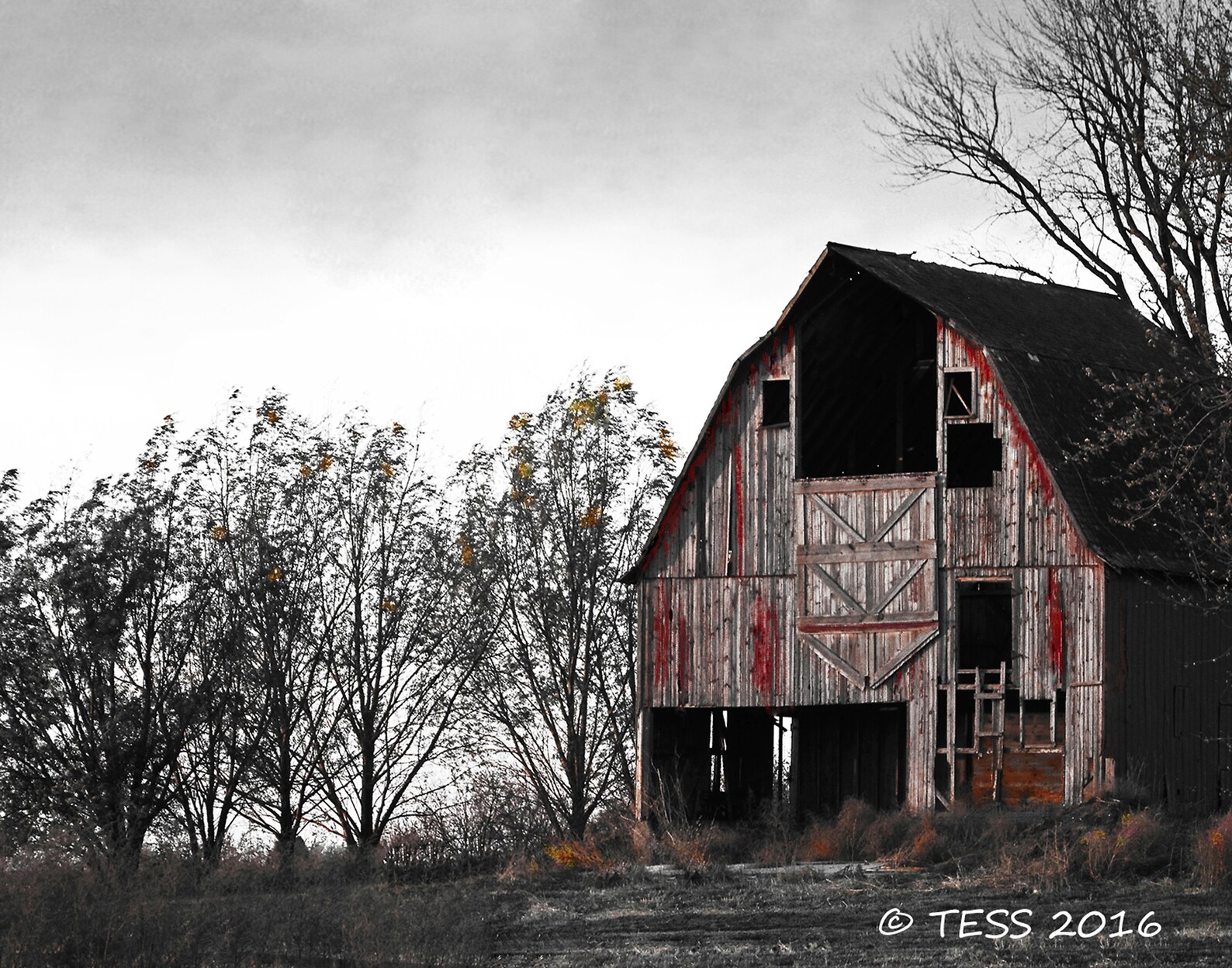 Photography - Barn Photo - Barn Photography - Black and White Barn ...