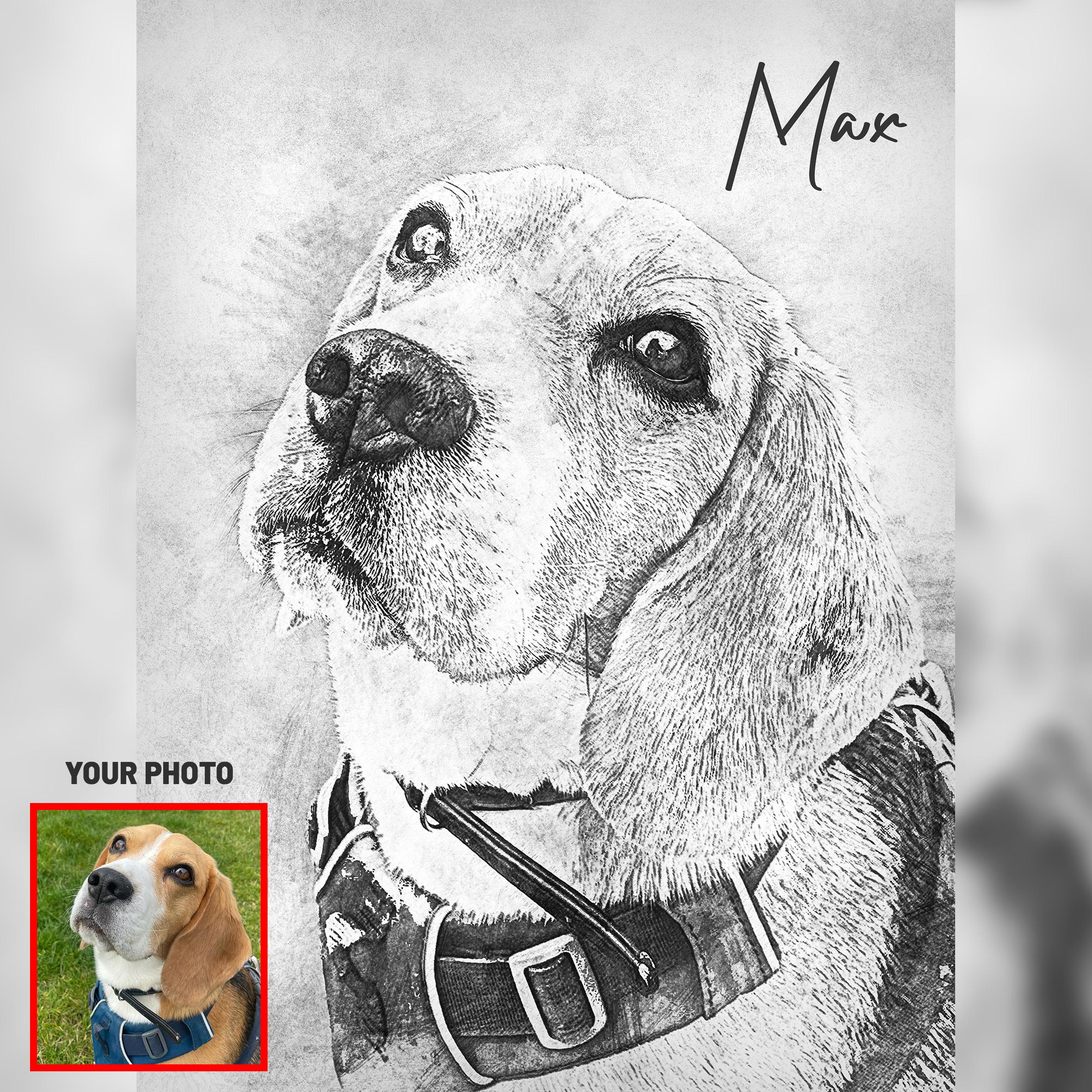 Pencil Sketch Custom Dog Portrait, Custom Dog Drawing, Custom Pet ...